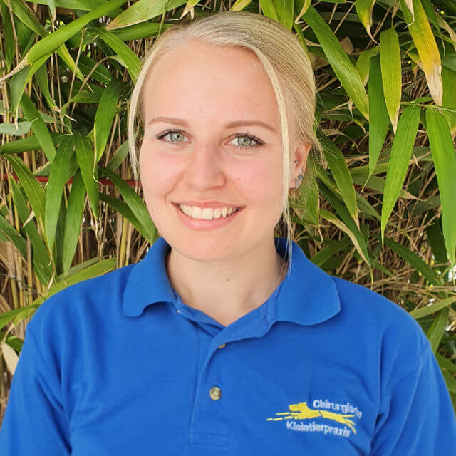 Team - Chrirurgische Kleintierpraxis Dr. Martin Köhle